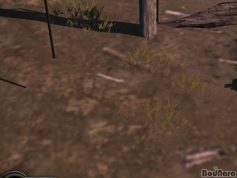 DirectX 10 지원 게임으로 알아보는 DX10 게임의 현주소 Page 5:: 보드나라