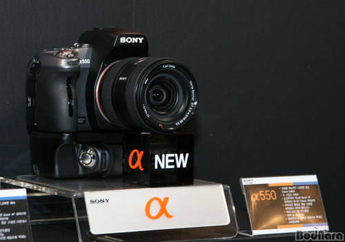 소니의 준중급형 DSLR, α550/500:: 보드나라