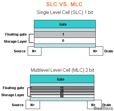 [리뷰]저렴한 MLC SD의 인기비결? 디지웍스 SD 2GB:: 보드나라
