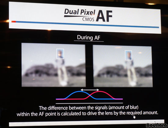 캐논, Dual Pixel CMOS AF 기술 적용한 DSLR 카메라 EOS 70D 발표:: 보드나라