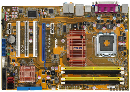 ASUS, G31칩셋을 사용한 P5KPL-E 출시:: 보드나라