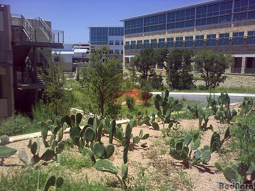 AMD, 오스틴에 위치한 '론 스타 캠퍼스' 매각 완료:: 보드나라