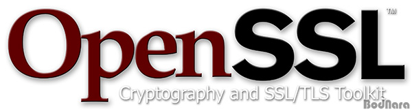 하트블리드 홍역겪은 OpenSSL, 앞으로의 개선 로드맵 밝혀:: 보드나라
