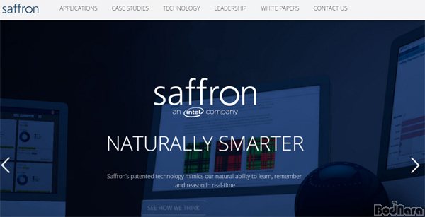 인텔, 인지 컴퓨팅 업체 Saffron Technology 인수:: 보드나라