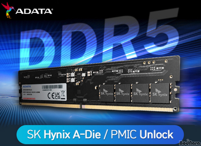 코잇, 안전성 성능 가격 3가지 모두 갖춘 ADATA DDR5 하이닉스 A다이 고정 PMIC언락 DRAM 출시:: 보드나라