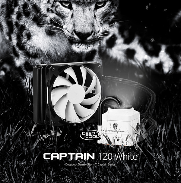 브라보텍, 모노 감성의 수냉 쿨러 DEEPCOOL CAPTAIN 120 WHITE 출시:: 보드나라
