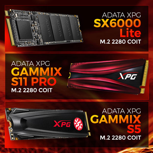 코잇, ADATA XPG M.2 SSD 신제품 3종 국내 출시:: 보드나라