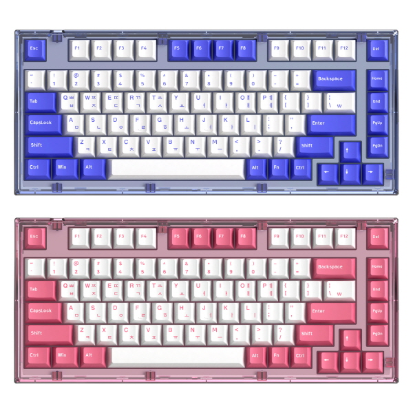 앱코, 감각적인 컬러의 반투명 키보드 ‘AG75’ 출시 | 케이벤치 신제품뉴스, 보도자료